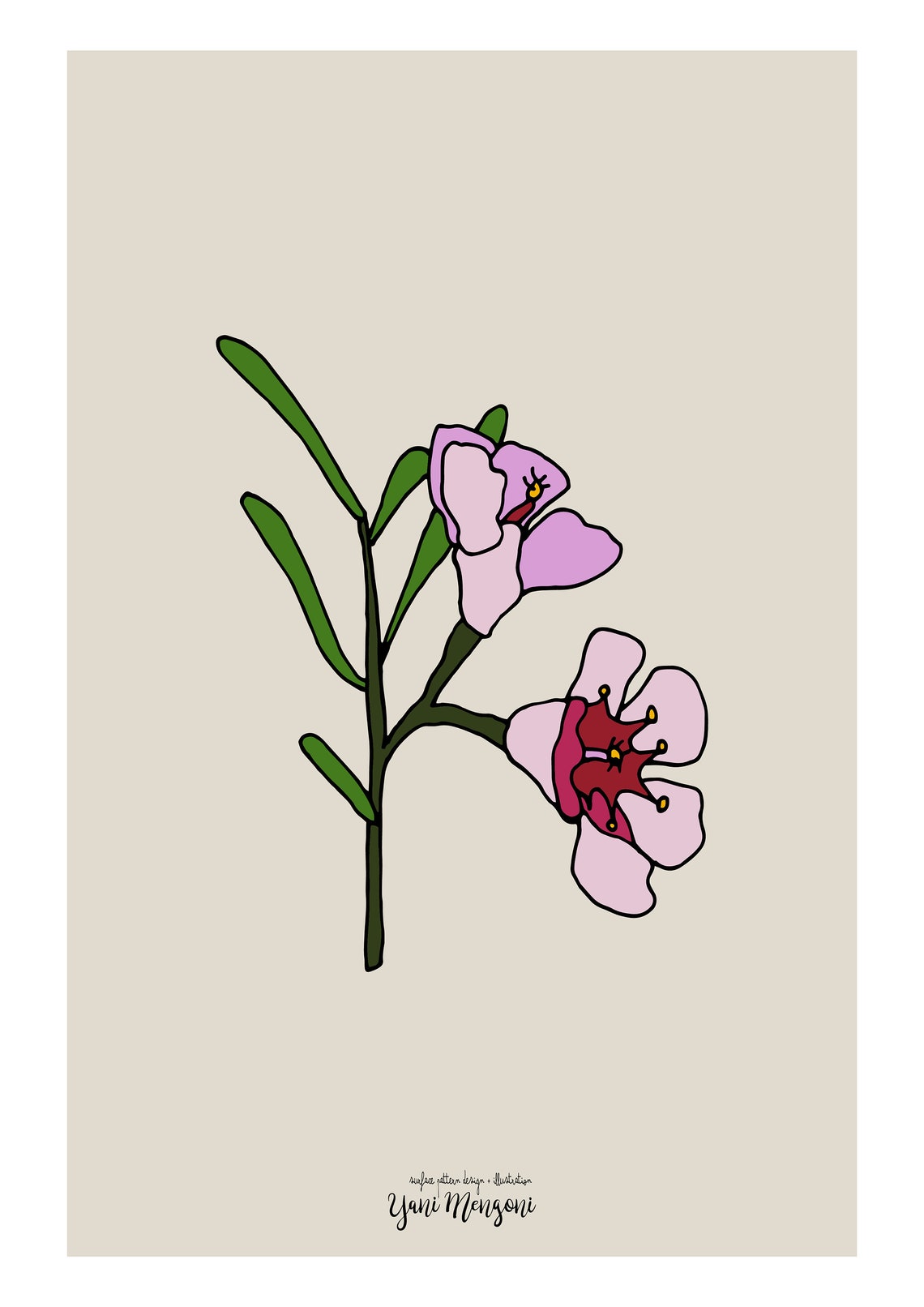 Australian Native Flowers Collection Print Digital Download Print ...