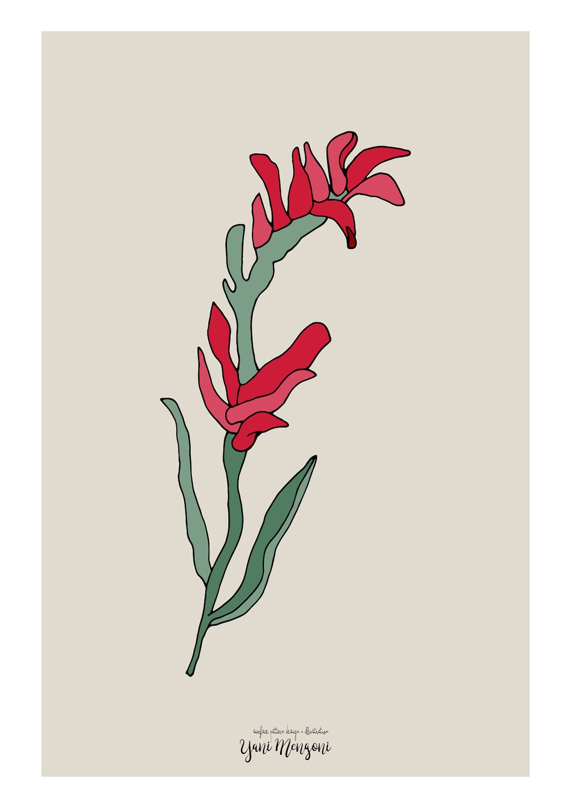 Australian Native Flowers Collection Print Digital Download Print ...