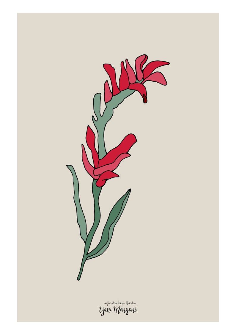 Australian Native Flowers Collection Print Digital Download Print ...