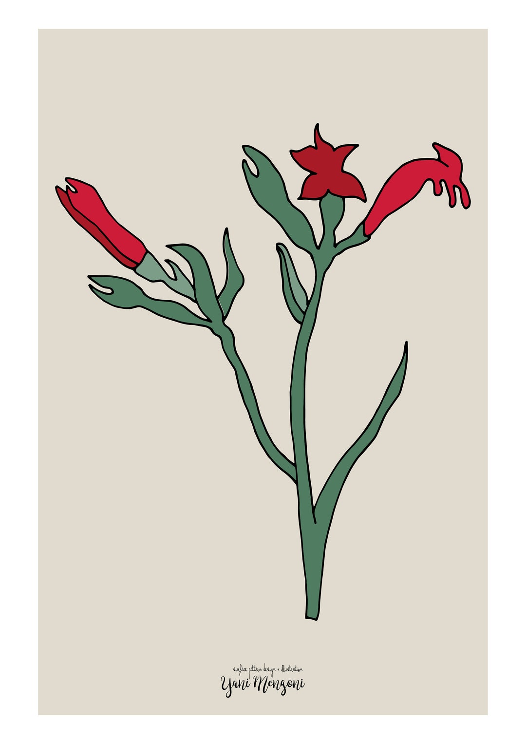 Australian Native Flowers Collection Print Digital Download Print ...