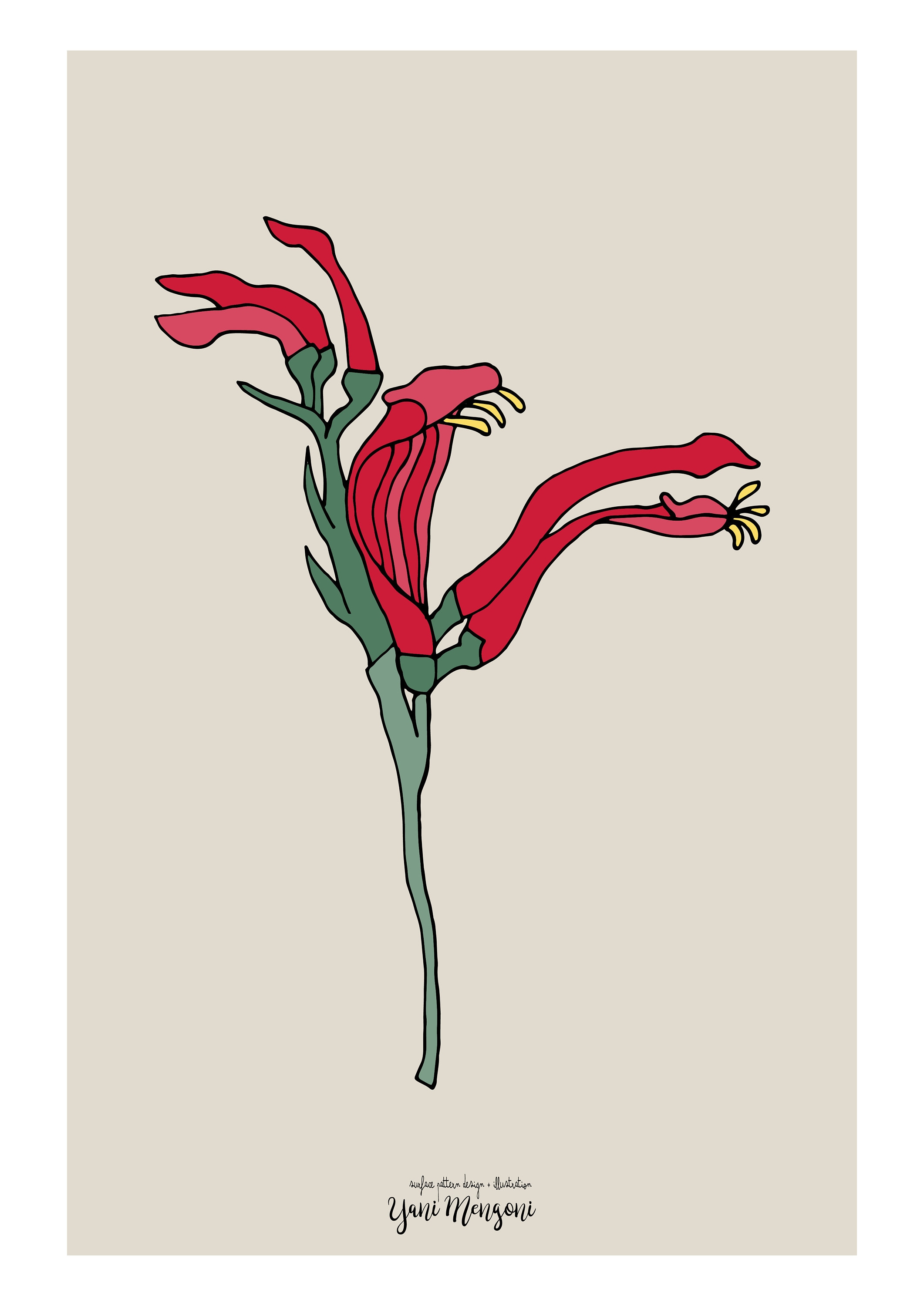 Australian Native Flowers Collection Print Digital Download Print ...