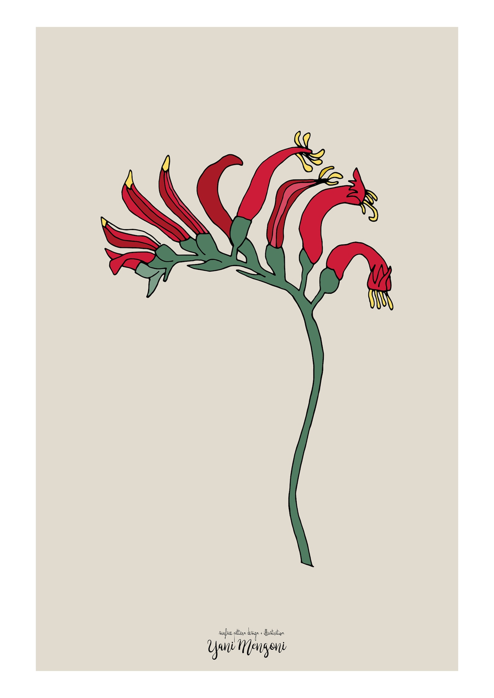 Australian Native Flowers Collection Print Digital Download Print ...