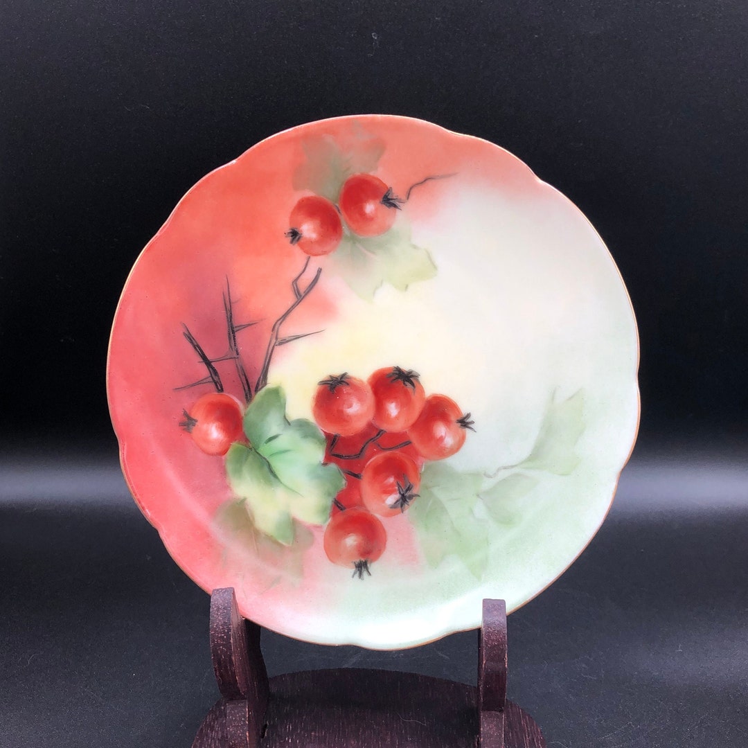 Vintage Favorite Bavaria Porcelain Plate, Hand Painted Currents/rose ...