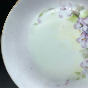 Favorite Bavaria, Hand Painted Purple Violets Plate, C. Early to Mid ...