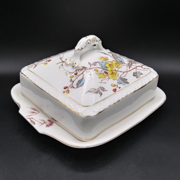 Antique Butter Dish - Buy Online - Etsy
