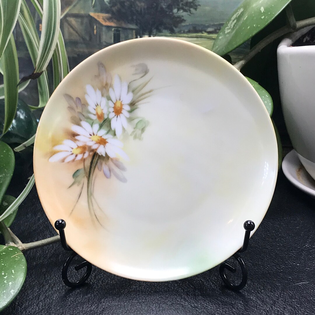 Vintage P T Bavaria Porcelain Plate With Daisies, Tirschenreuth Bavaria ...