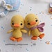 Crochet Pattern, Juan and Lala Ducks Amigurumi PDF Tutorial - Etsy