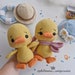 Crochet Pattern, Juan and Lala Ducks Amigurumi PDF Tutorial - Etsy