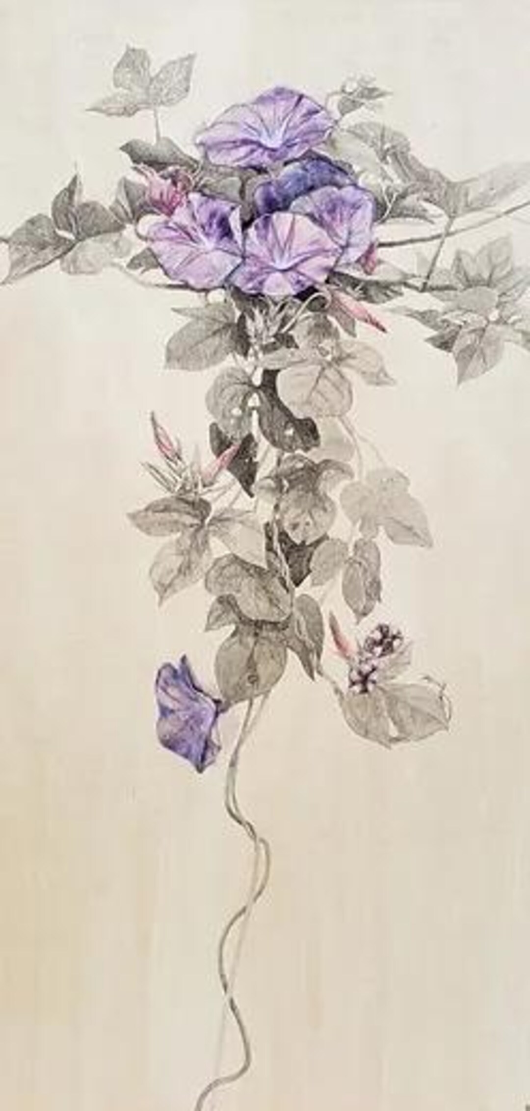 Morning Glories － mixed Media by Akae Saito - Etsy