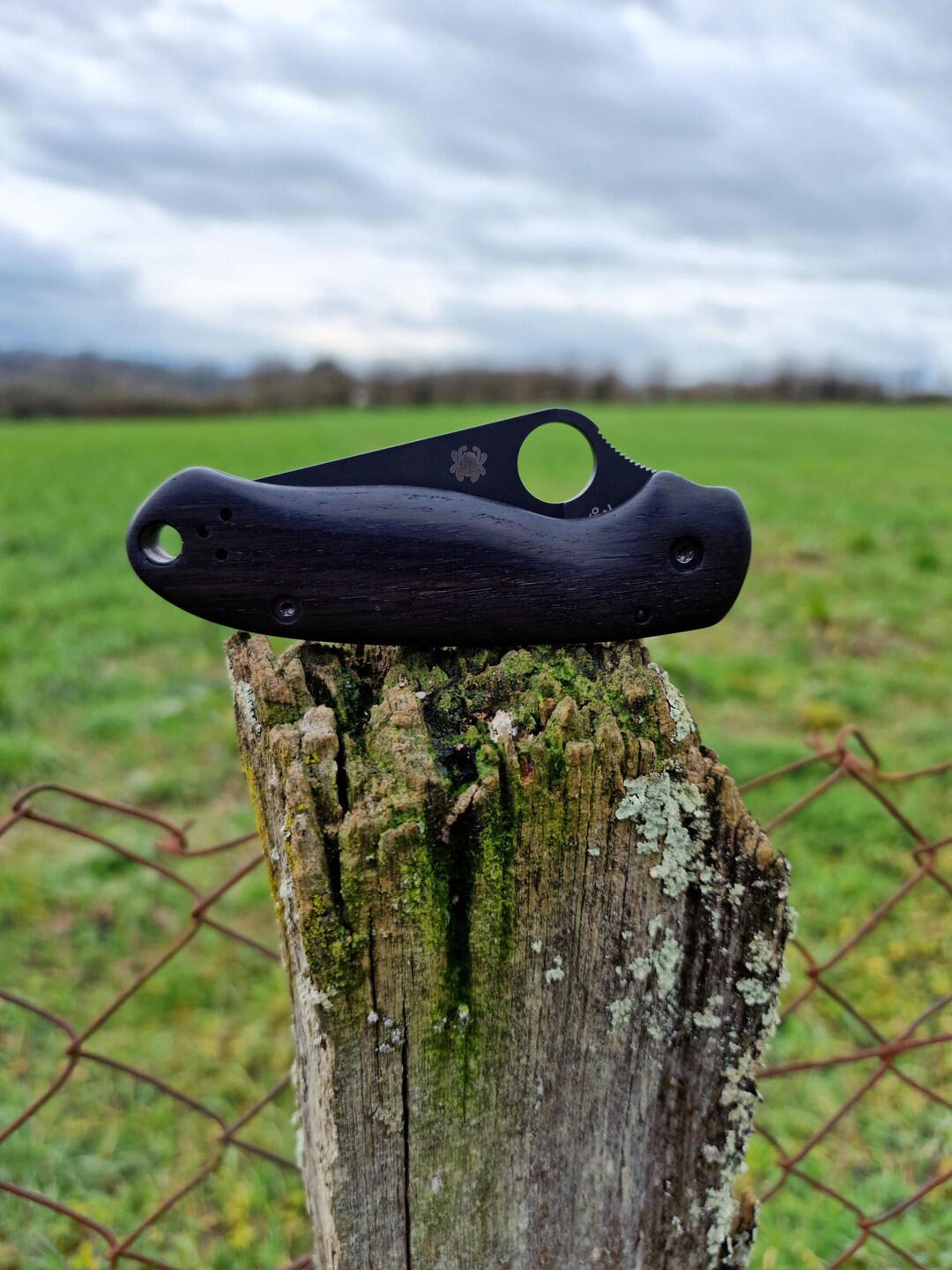 Scales for Spyderco Para 3 in Partially Fossilized Wood (oak Wood) (NO ...