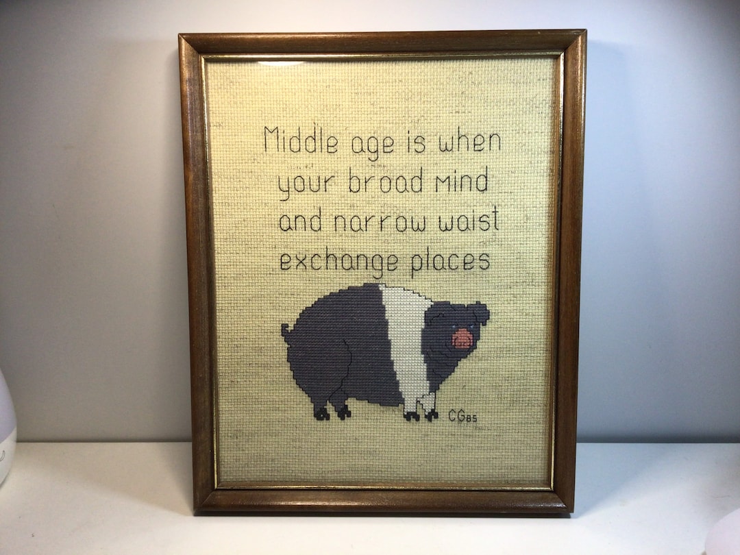 Choice of 4 Completed & Framed Sassy Pig Cross Stitch. Adorably ...