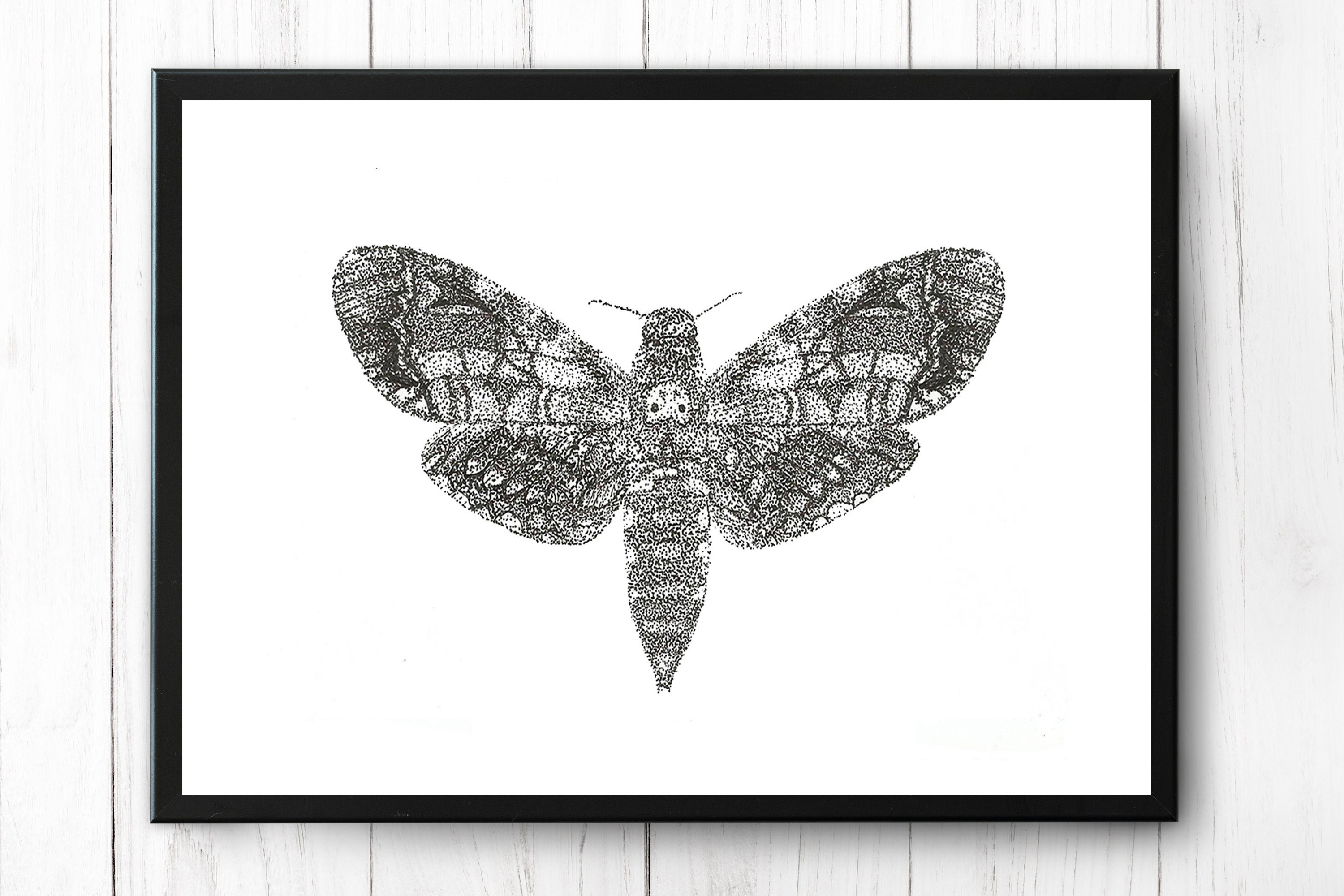 Death's Head Hawk Moth Art Print Hand Drawn Wall Decor - Insect Wall ...
