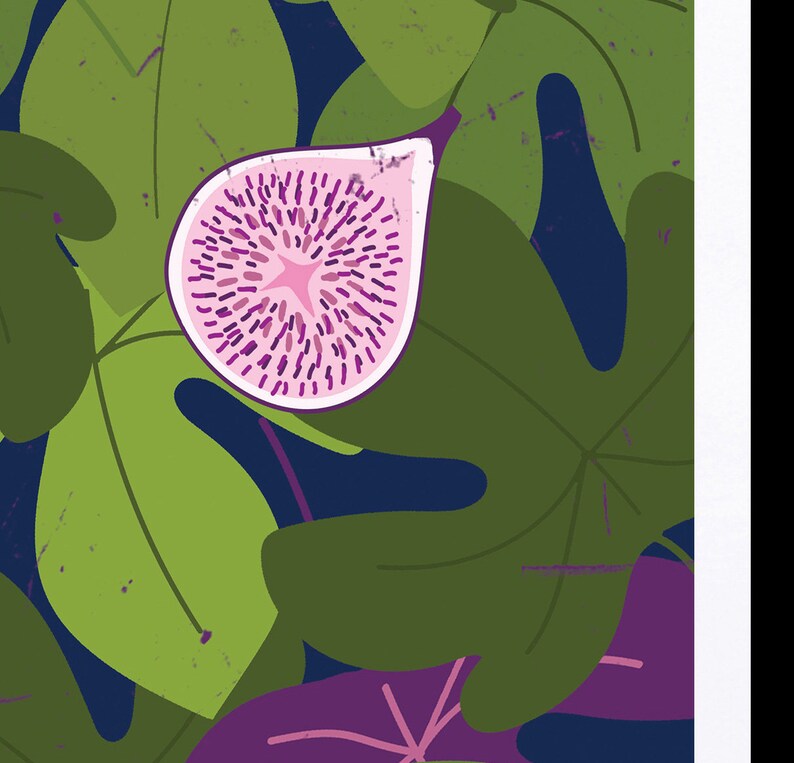Fig Tree, Kitchen Art Print, Illustration Art, Fruits Art, Figs Poster ...