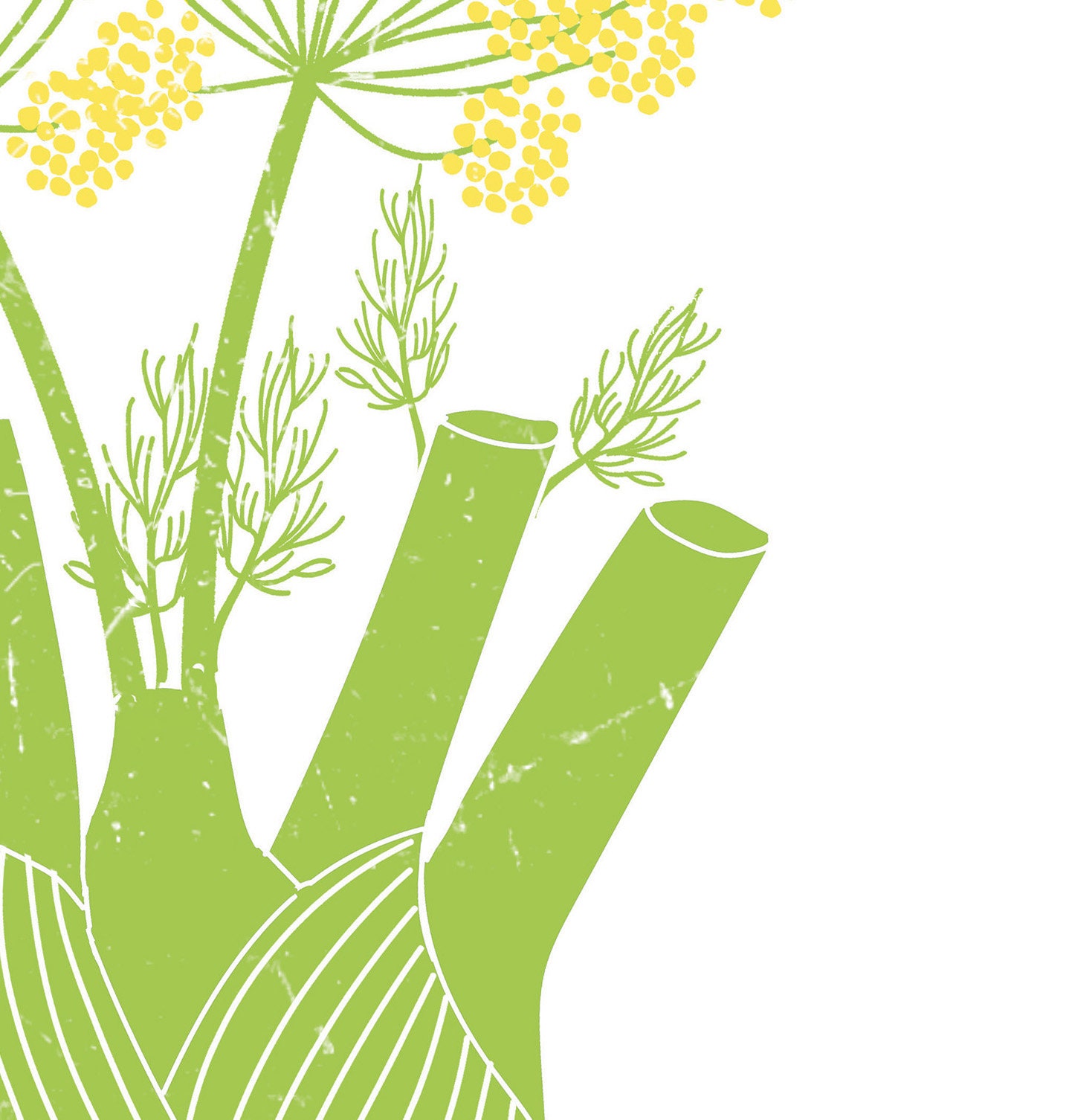 Fennel Art Print, Vegetables Art Print, Food Poster, Botanical Print ...