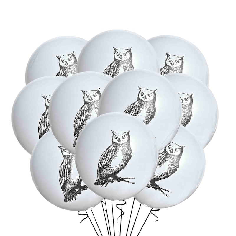 Owl Balloons - Etsy