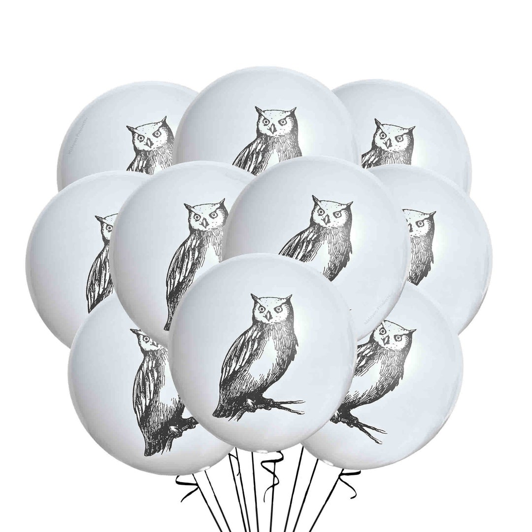 Owl Birthday Party Balloons, 12" Owl Balloons, Bird Party Balloons ...