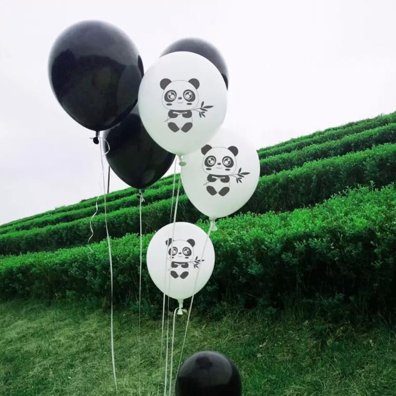 12 Pack Panda Balloons 12 Animal Balloons Bamboo Panda - Etsy