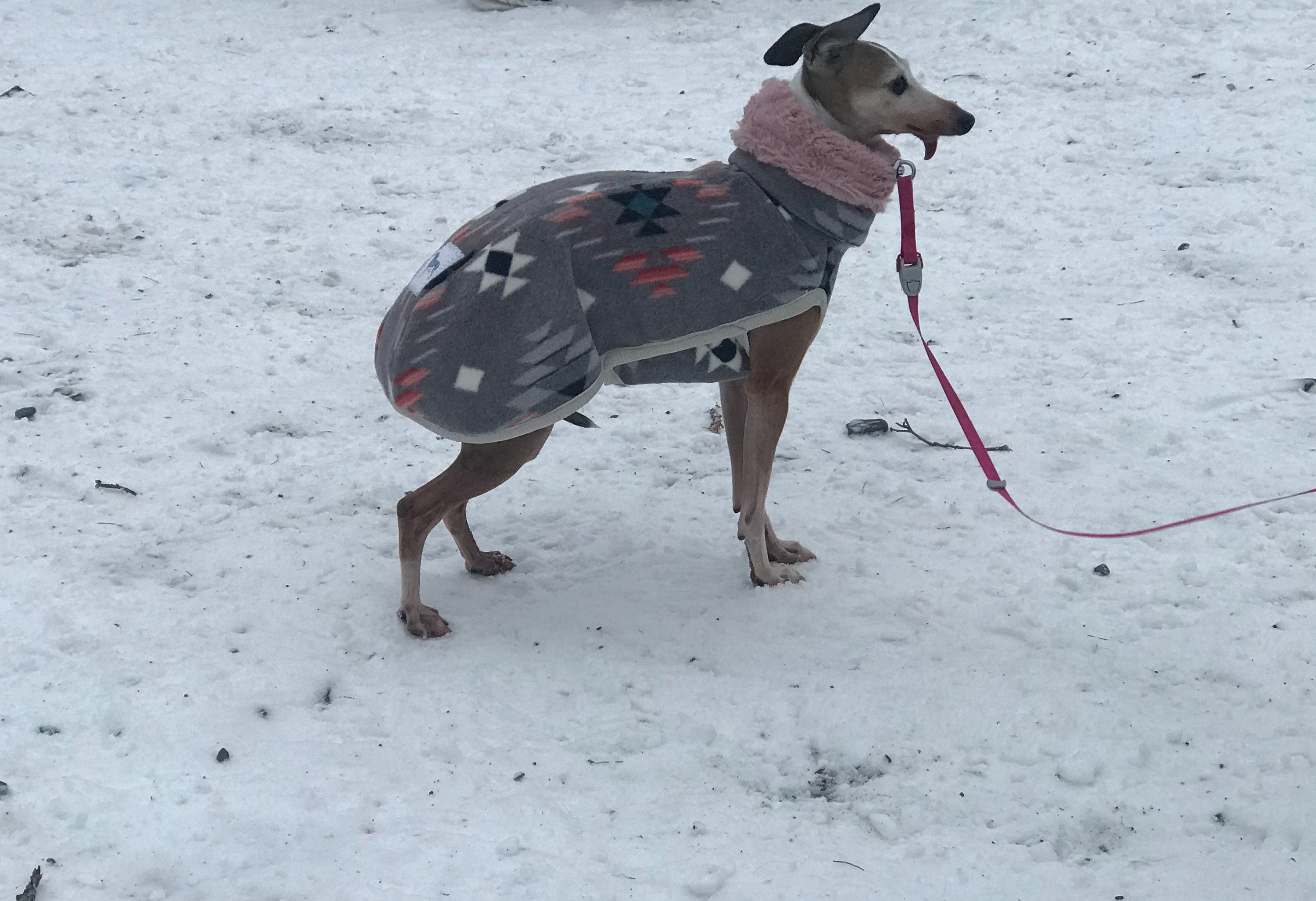 Glitz Skin Grey Aztec Luxe Greyhound Coat Dog Whippet Spring Fall Extra ...