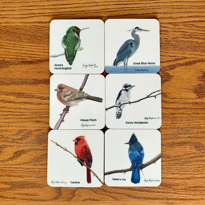 Florida Bird Art - Etsy