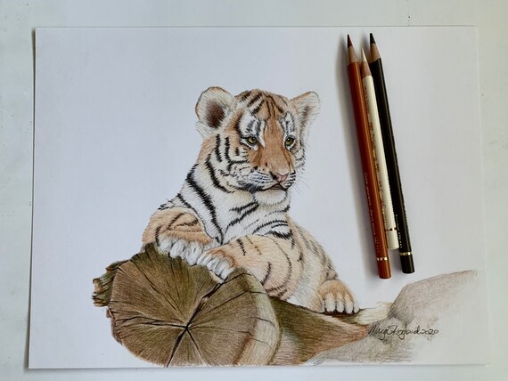 Cute Baby Tiger Drawing