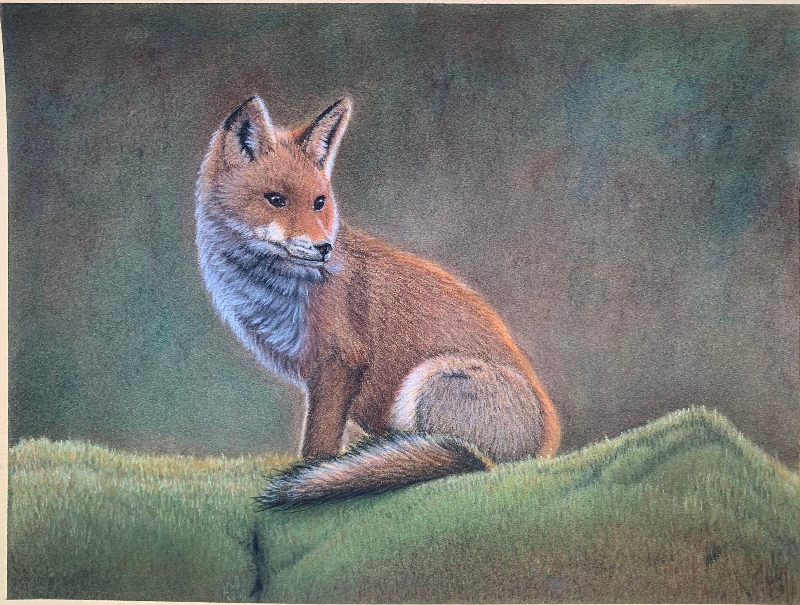 Red Fox Original Pastel Painting Wildlife Art 9x12 Inch - Etsy