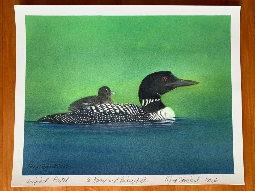 Common Loon and Chick Pastel Painting, 11x14 Inch Wall Decor - Etsy