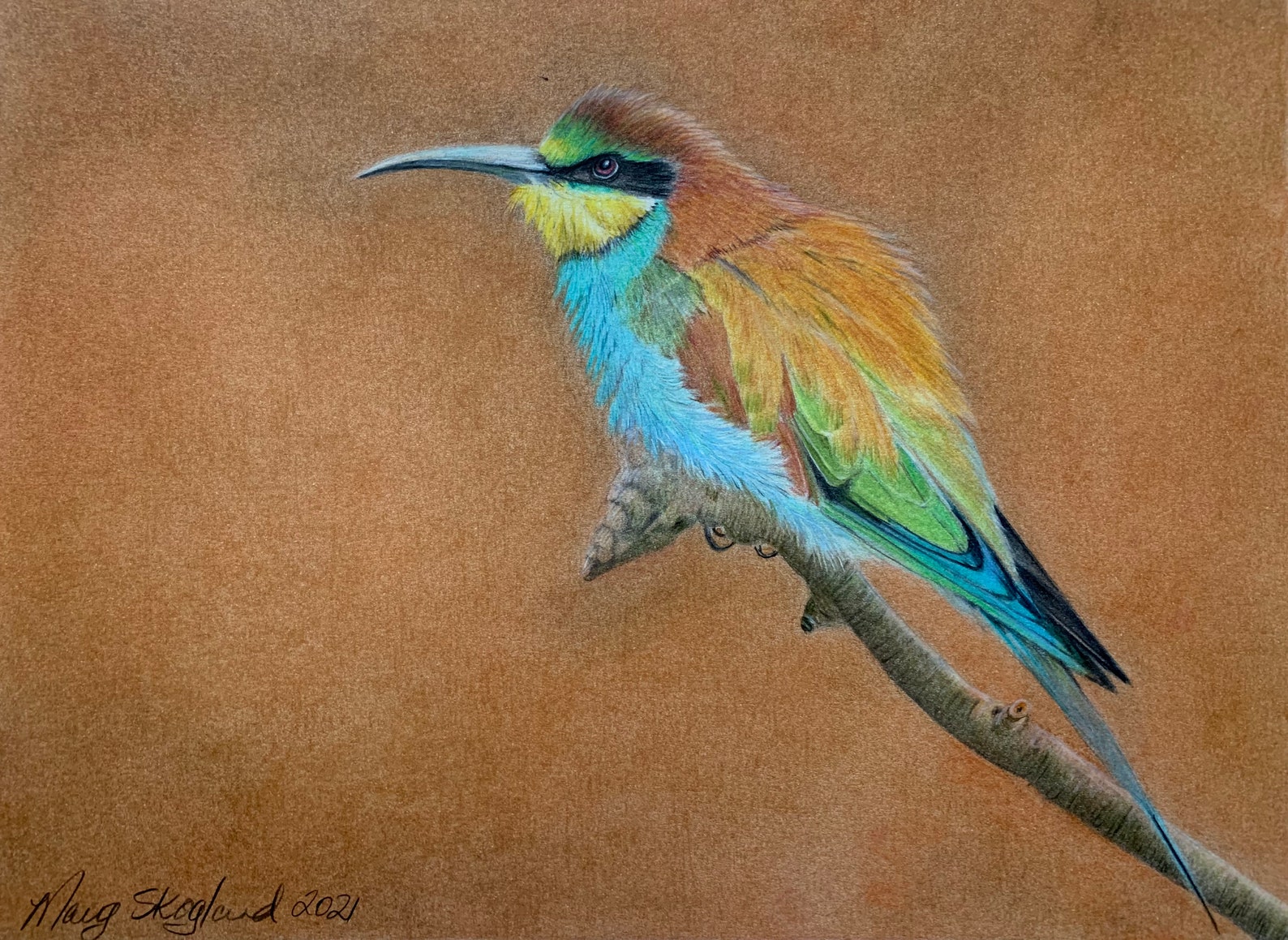 European Bee-Eater original coloured pencil art 9x12 inch | Etsy