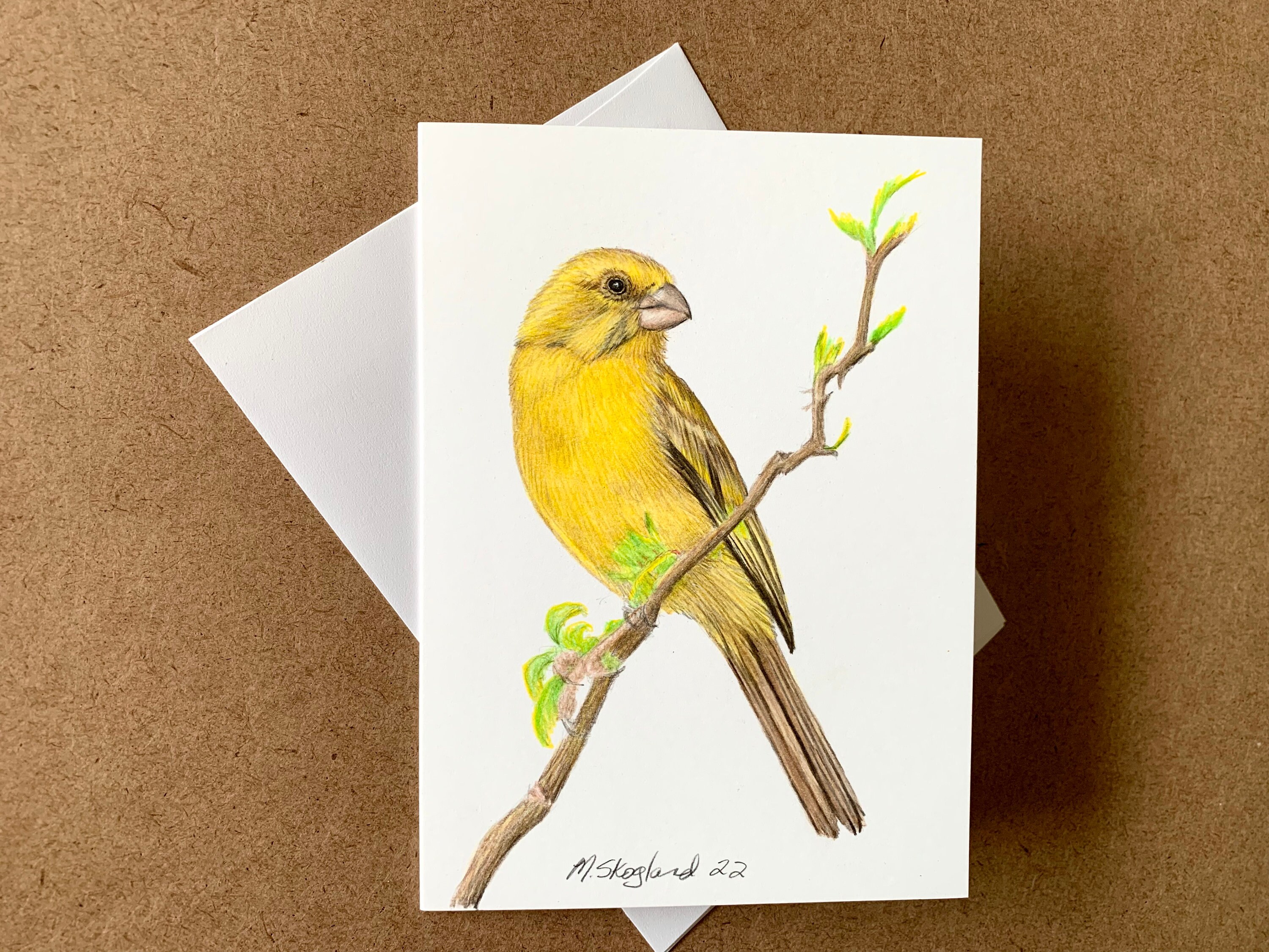 Yellow Canary Drawing
