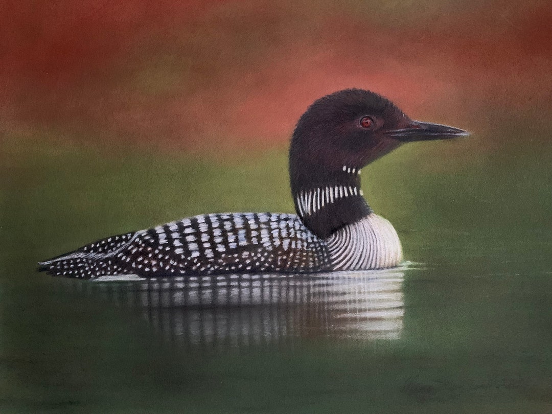 Common Loon: Digital Download of My 9x12 Inch Pastel and Coloured ...