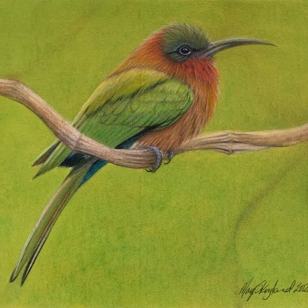 Bee Eater Art - Etsy