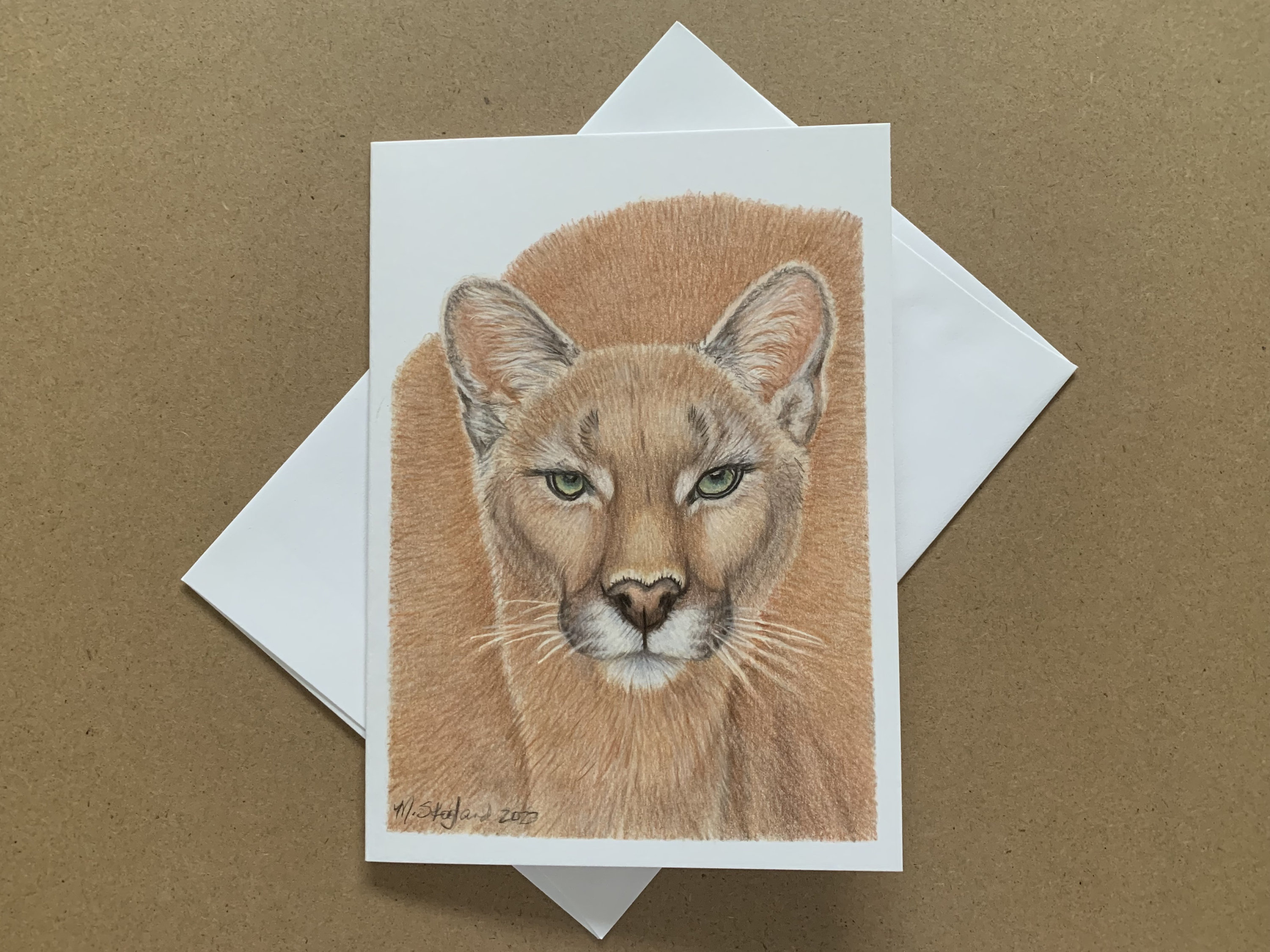 Cougar Fighting Wolf Pencil Sketch