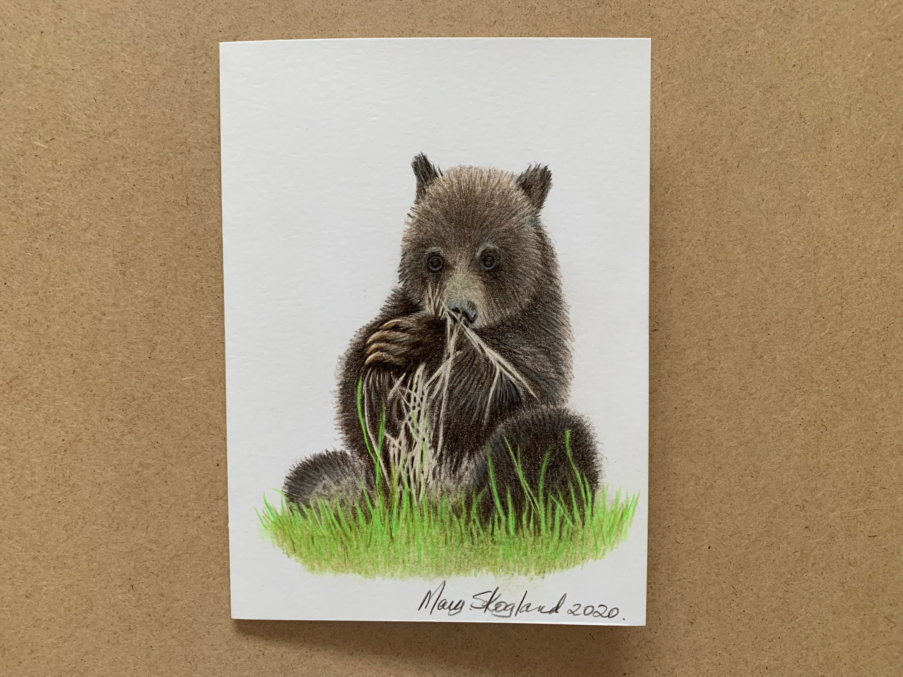 Grizzly Bear Cubs Drawing