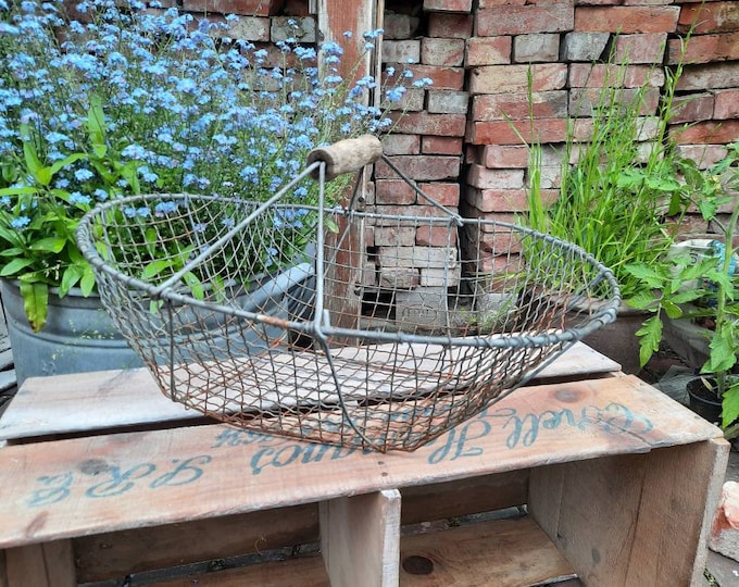 Ancient Harvest Basket Wire Wire Mesh Potato Basket Wire Basket Vintage ...