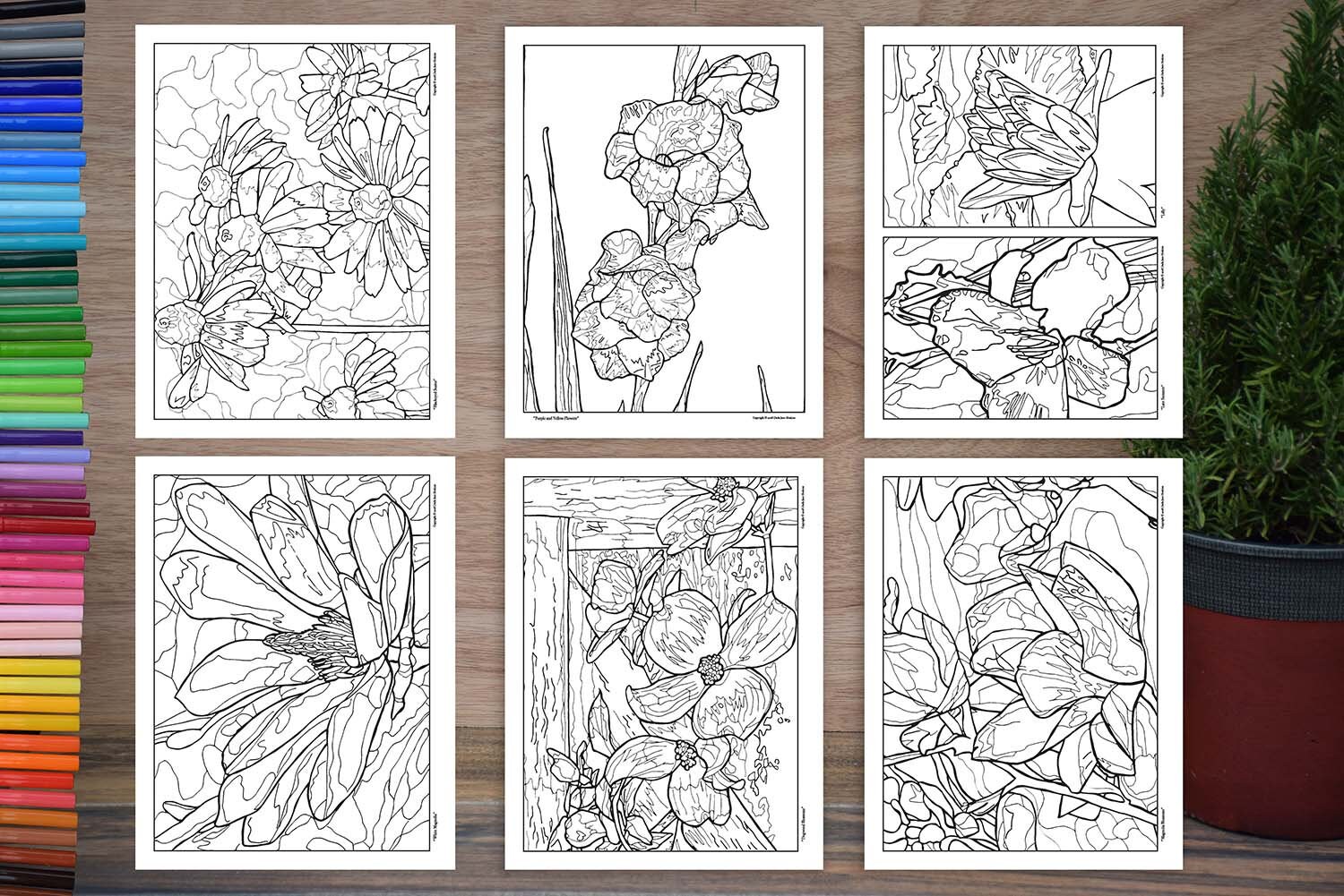Coloring the Artwork of Darla Jane Hoskins, Djhoskinsart, 31 Flower ...