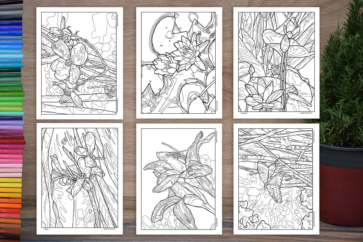 Coloring the Artwork of Darla Jane Hoskins, Djhoskinsart, 31 Flower ...