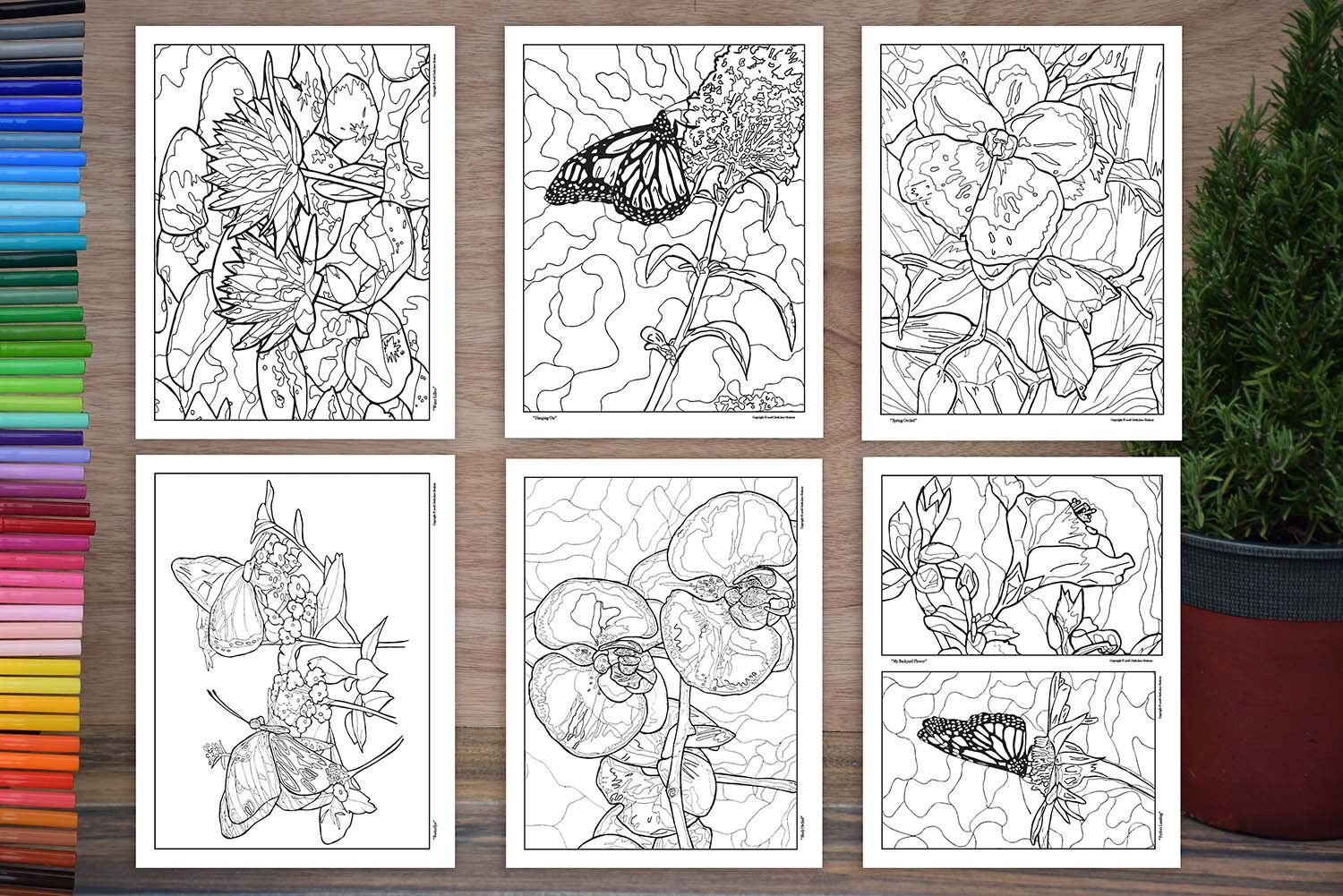 Coloring the Artwork of Darla Jane Hoskins, Djhoskinsart, 31 Flower ...