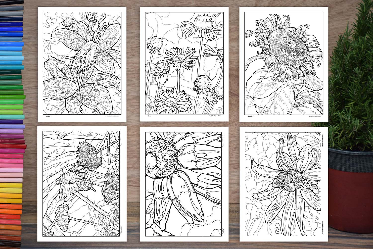 Coloring the Artwork of Darla Jane Hoskins, Djhoskinsart, 31 Flower ...