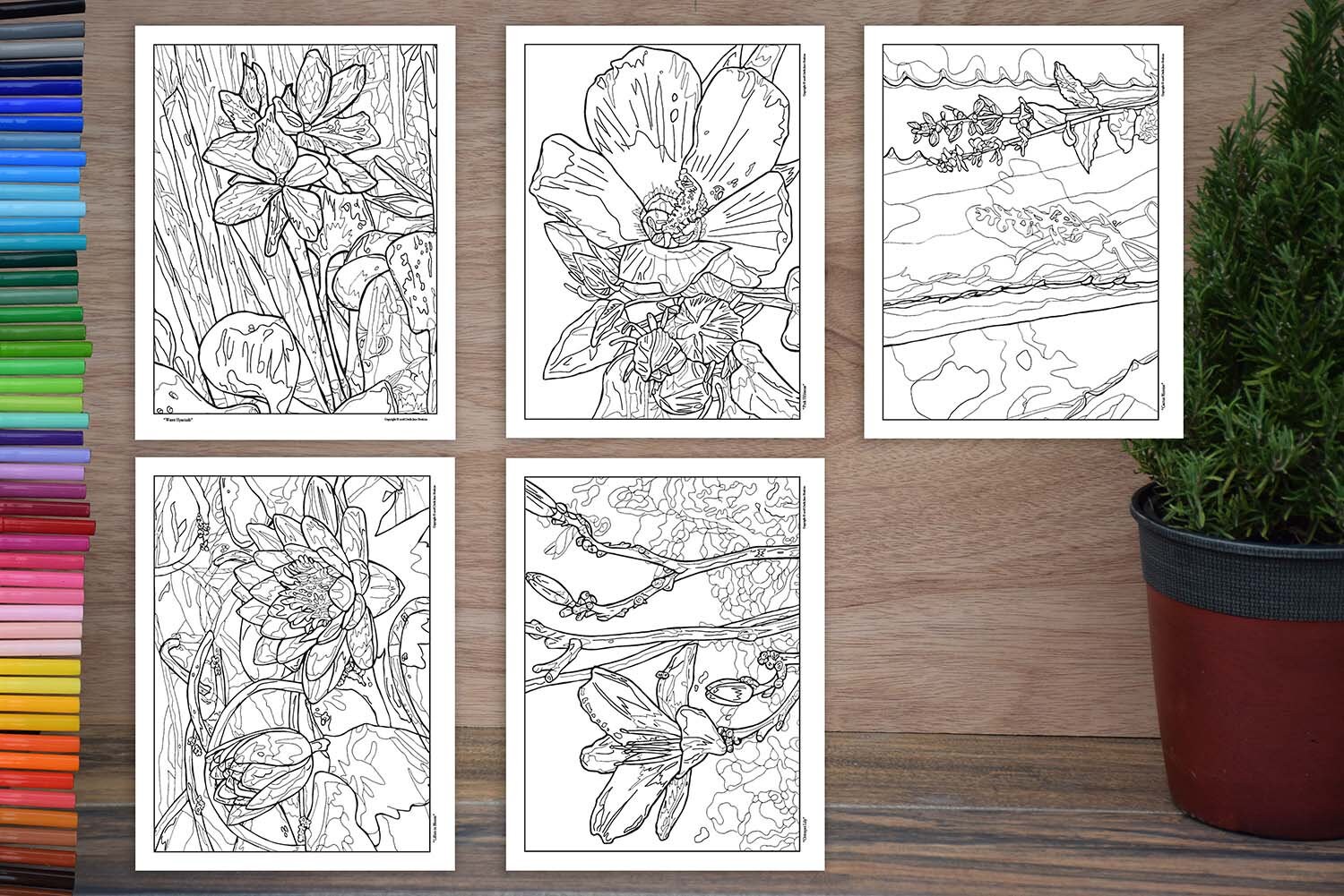 Coloring the Artwork of Darla Jane Hoskins, Djhoskinsart, 31 Flower ...