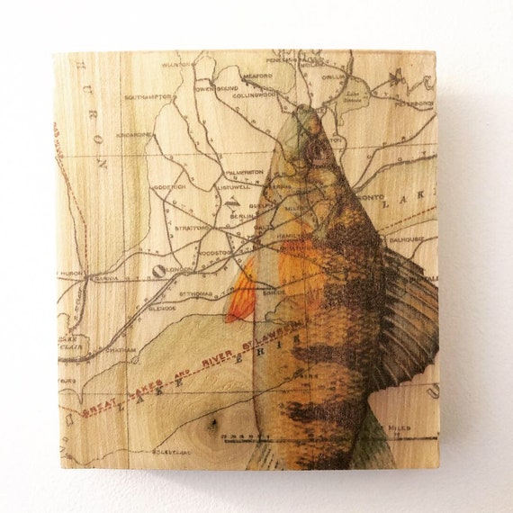 Lake Erie Perch Map of Lake Erie Ohio Vintage Style Wall | Etsy