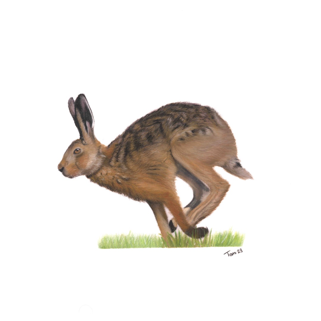 Running Hare Open Edition Print - Etsy