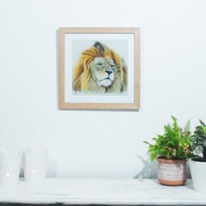 Lion Limited Edition Fine Art Print unframed - Etsy