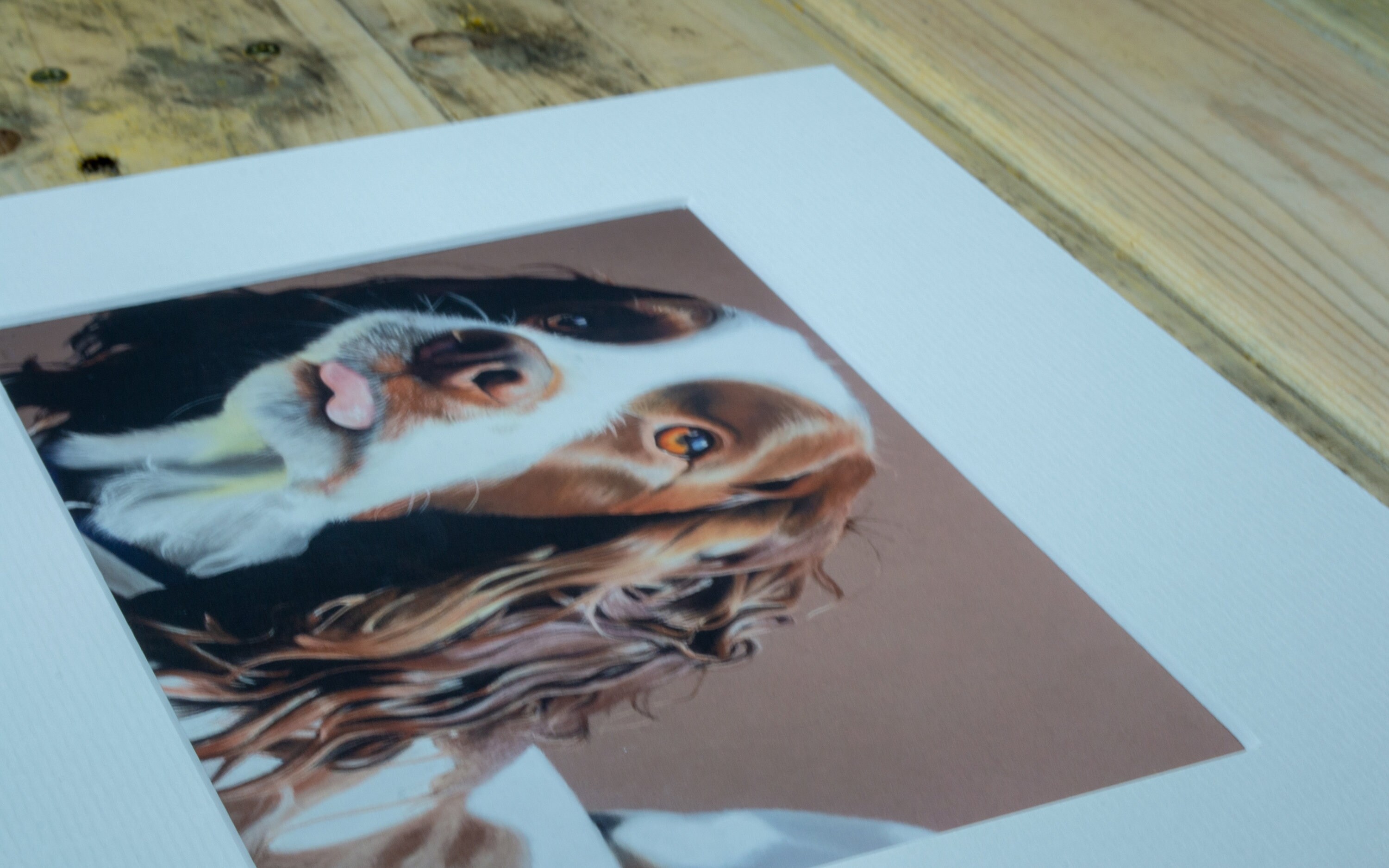 Springer Spaniel Limited Edition Fine Art Print unframed - Etsy
