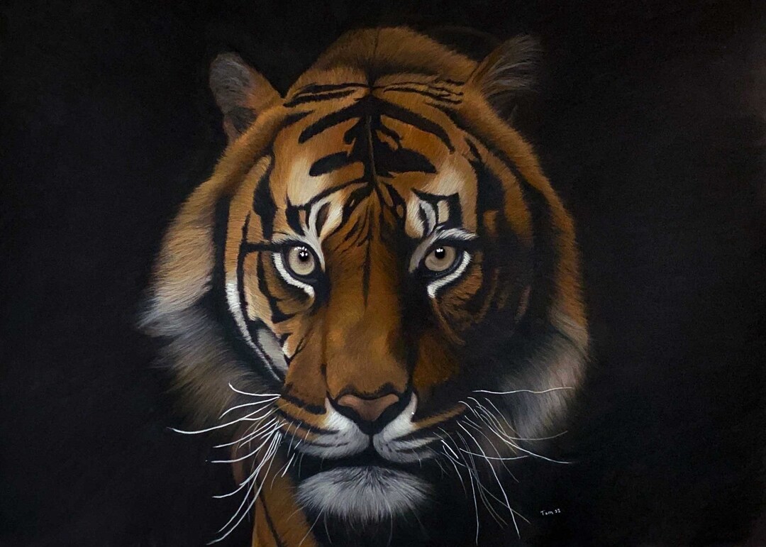 Original 'tiger King' - Etsy