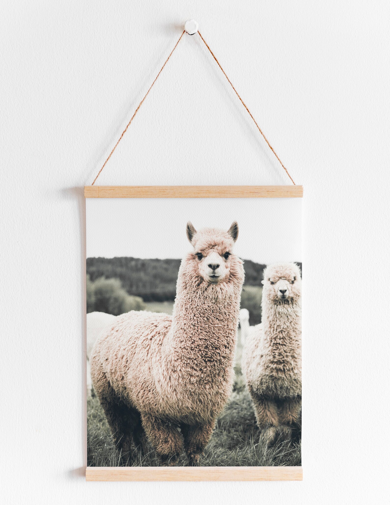 Llama Print Alpaca Art Print Boho Wall Art Alpaca Wall Art - Etsy