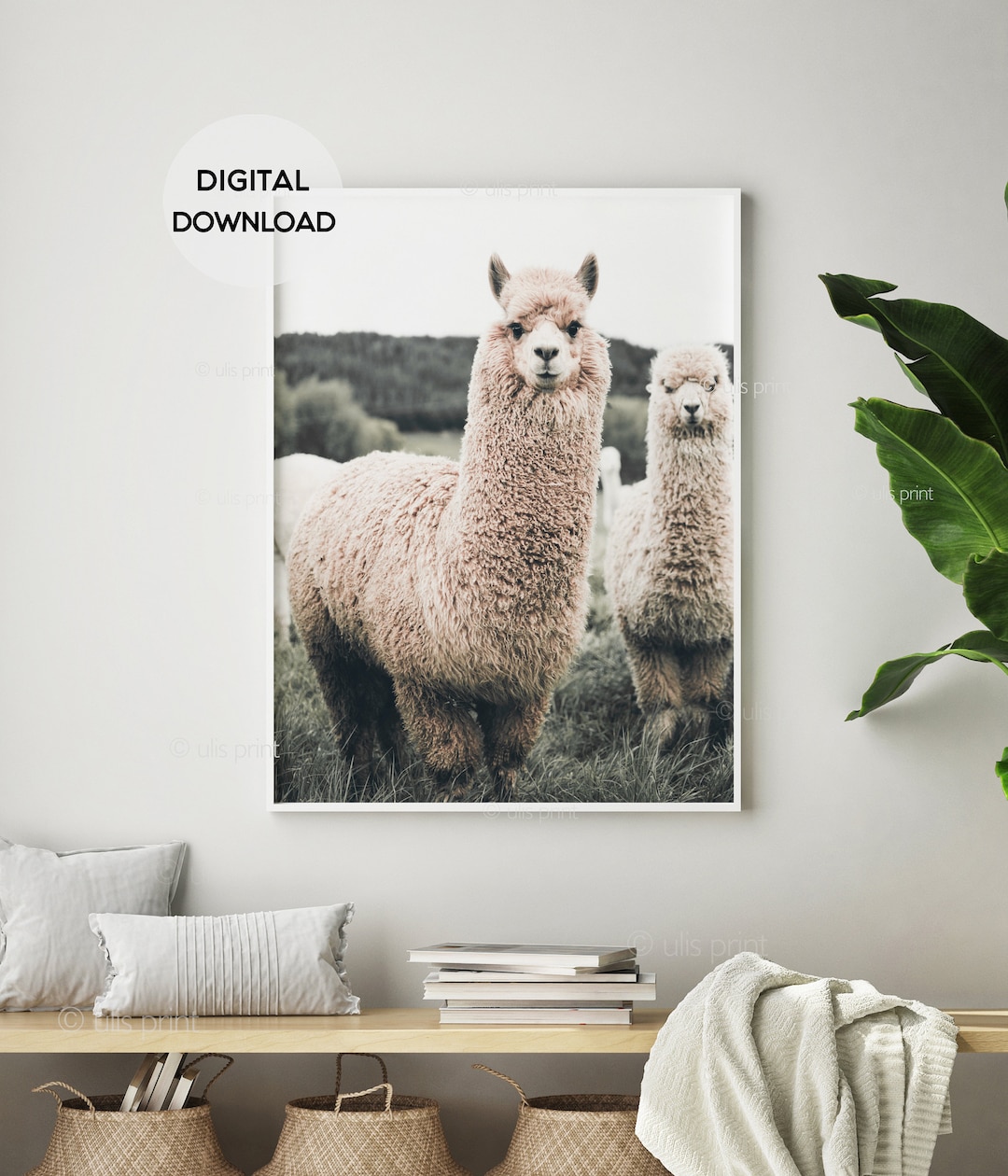 Llama Print Alpaca Art Print Boho Wall Art Alpaca Wall Art - Etsy