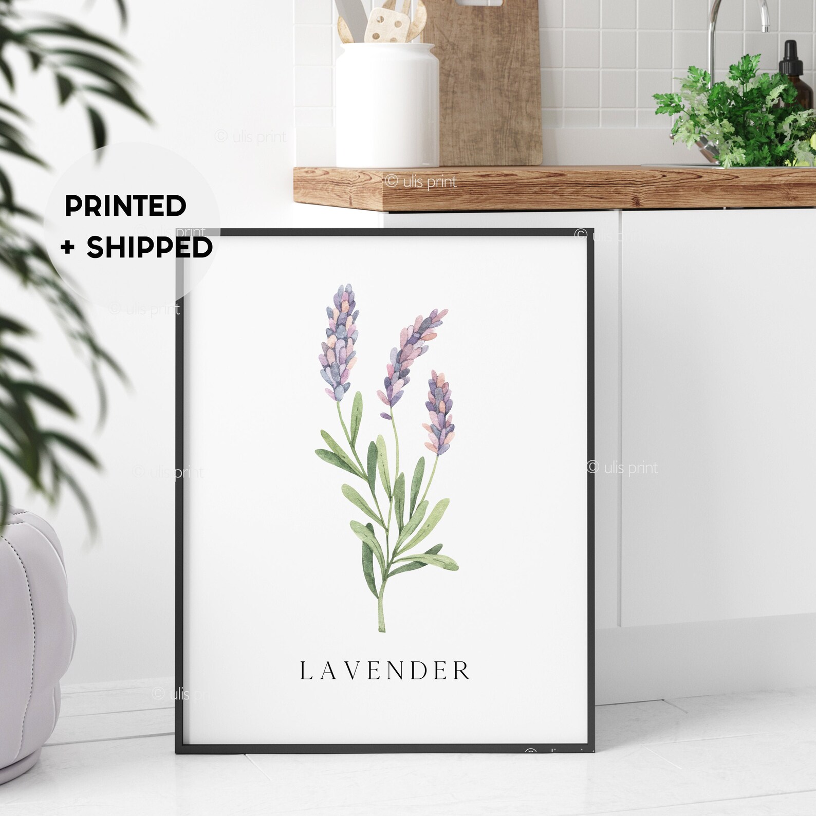 Lavender Print Herbs Print Lavender Watercolor Illustration - Etsy