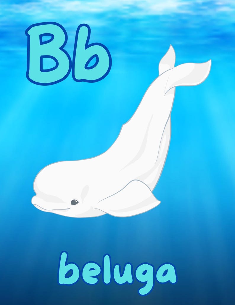 Alphabet Cards Ocean Animals Full Set Preschool Kindergarten Marine ...