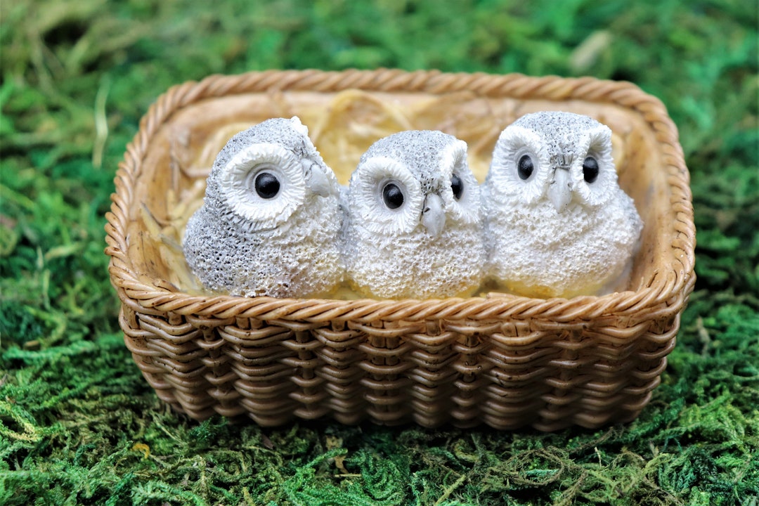 Cute Baby Owls in a Wicker Basket - Mini Garden - Doll House - Etsy