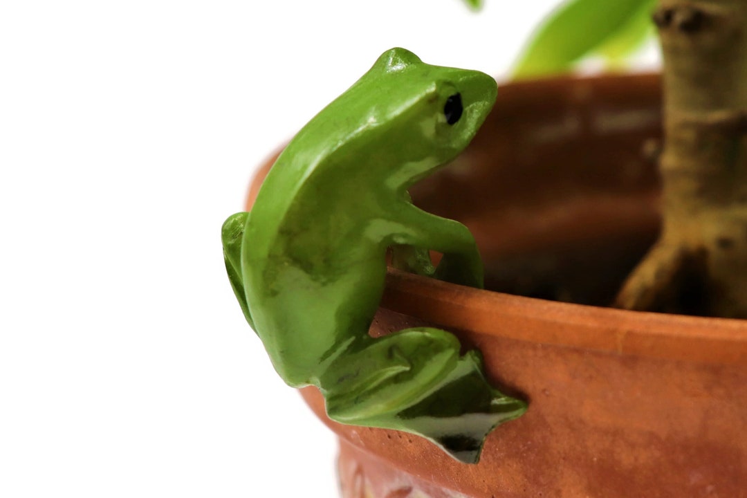 Green Frog Hugging Pot - Etsy