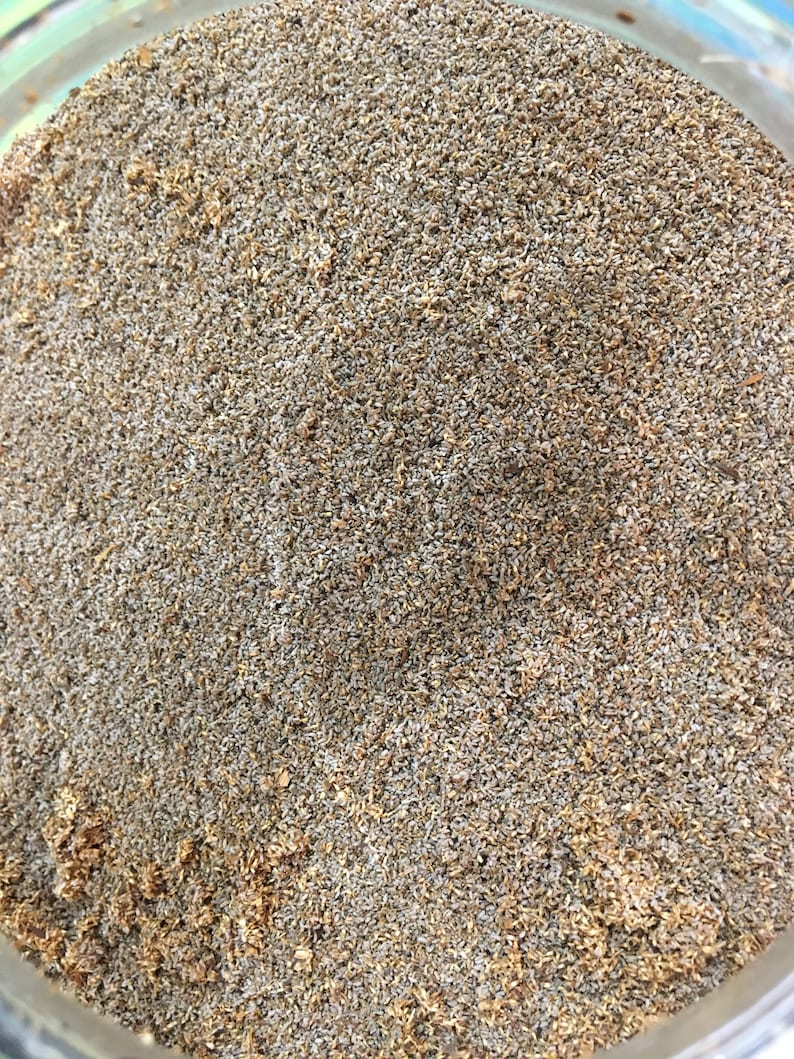 Sweet Annie Artemisia Annua Seeds 1/4 OUNCE - Etsy